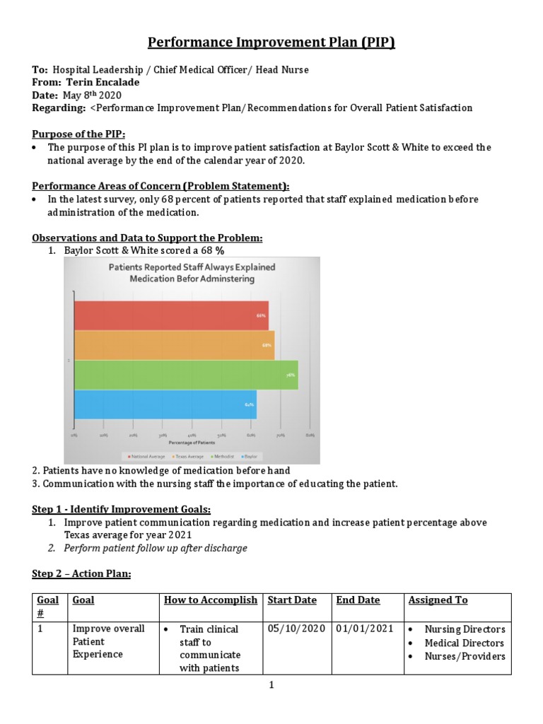 Performance Improvement Plan Template 1 - 908445459 | PDF | Nursing ...