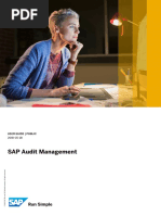 SAP Audit Management Process Guide | PDF | Audit | Information ...