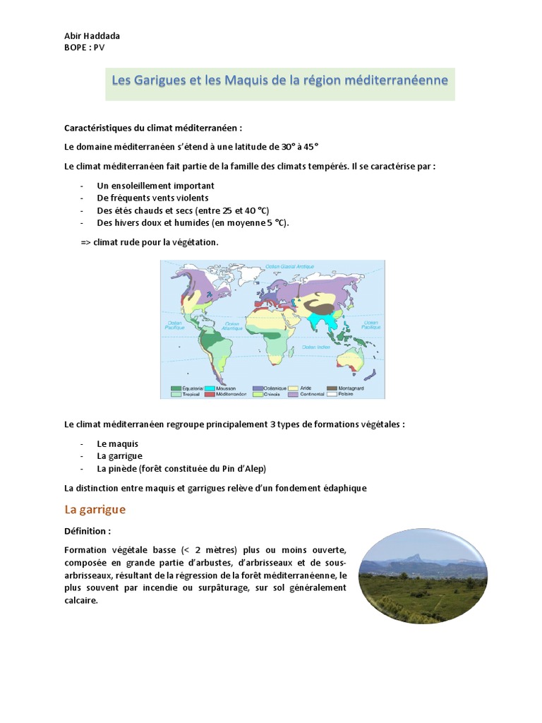 Les Garigues Et Les Maquis de La Région Méditerranéenne | PDF ...