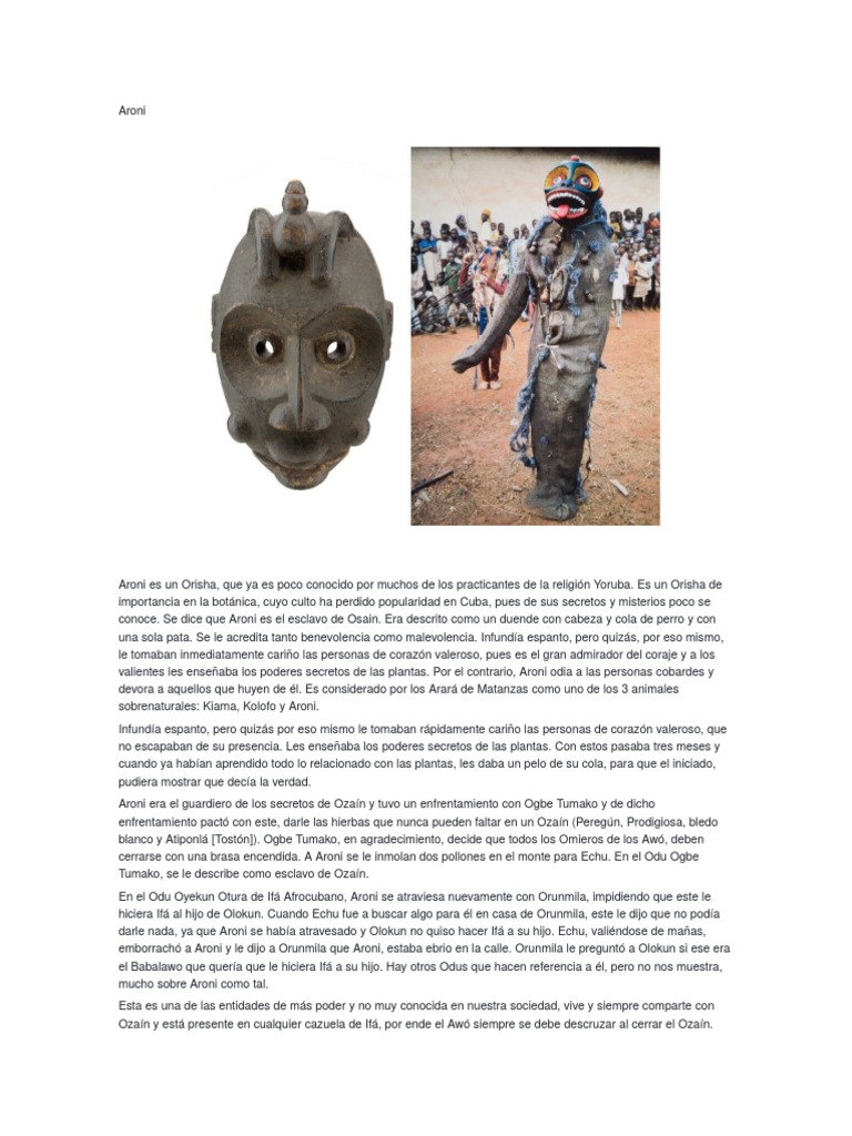 Aroni | PDF | Santeria | Religión y creencia