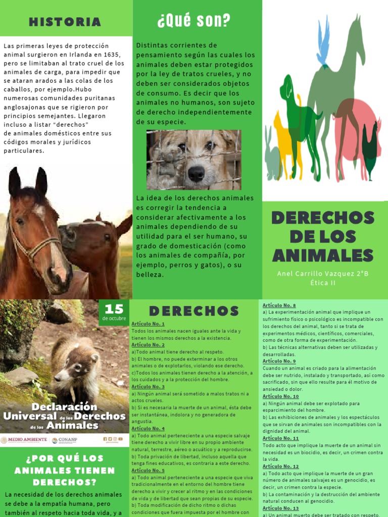 Derechos de Los Animales | PDF | Derechos animales | Etica Aplicada