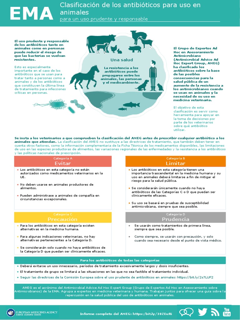 Infographic Categorisation Antibiotics Use Animals Prudent Responsible ...