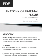 Anatomi Fossa Axillaris | PDF | Arm | Limbs (Anatomy)