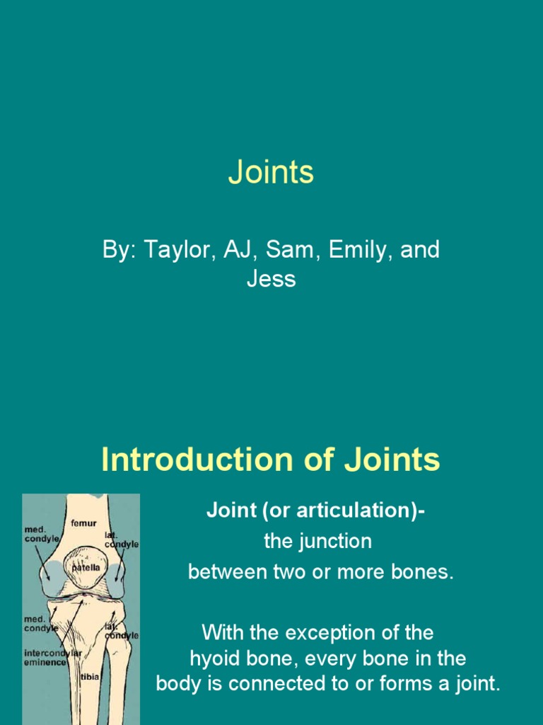 Joints: By: Taylor, AJ, Sam, Emily, and Jess | PDF | Anatomical Terms ...