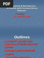 Acdf Physical Therapy Post Op Protocol | PDF | Anatomical Terms Of ...