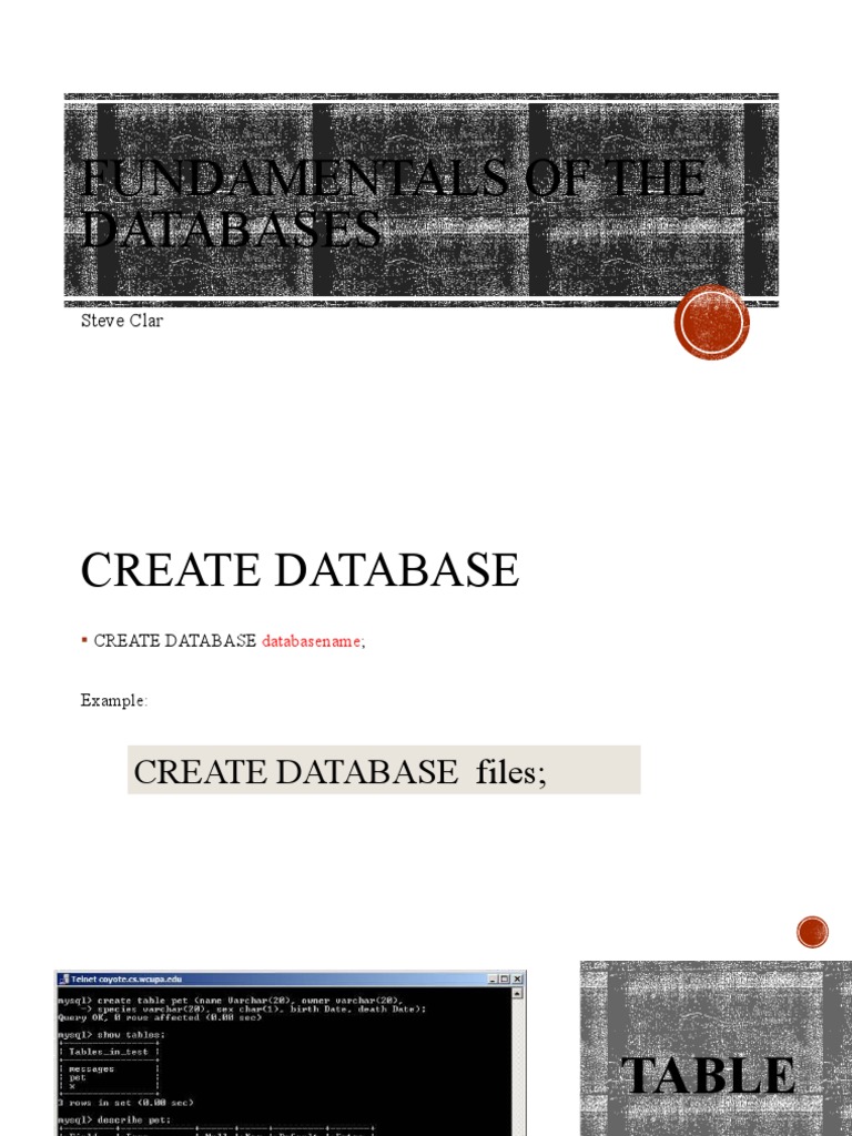 Fundamentals of The Databases: Steve Clar | PDF
