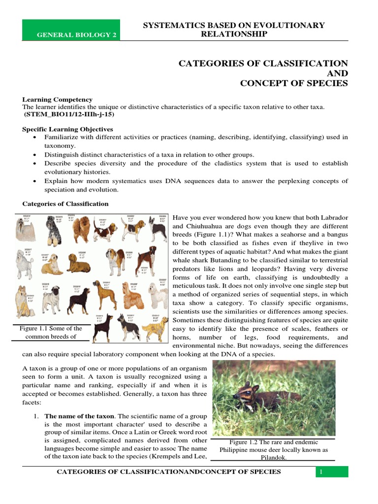 Categories of Classification and Concept Species | PDF | Species ...
