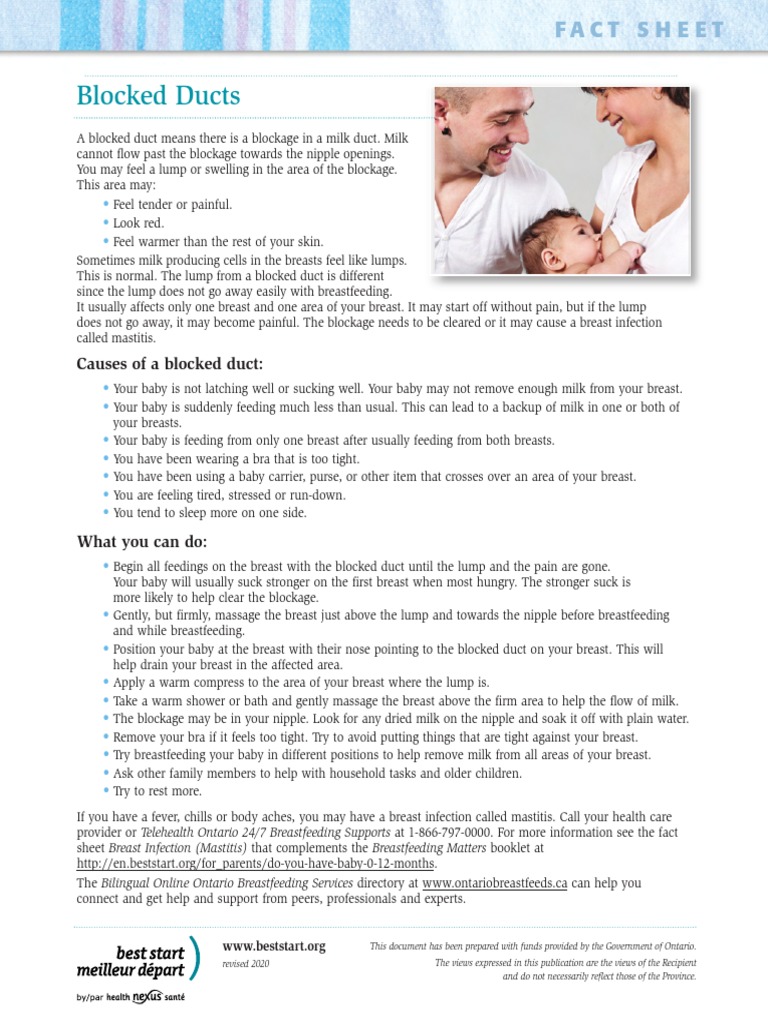 Plugged Duct | PDF | Breast | Breastfeeding