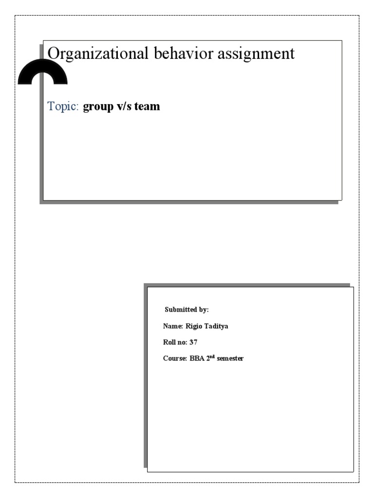 Organizational Behavior Assignment: Group V/s Team | PDF