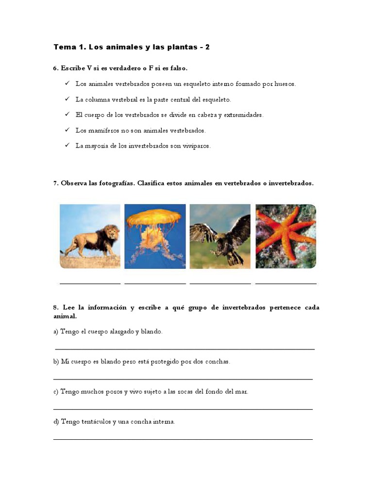 Los Animales y Las Plantas 3P - 2 | PDF