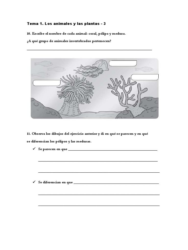 Los Animales y Las Plantas 3P - 3 | PDF