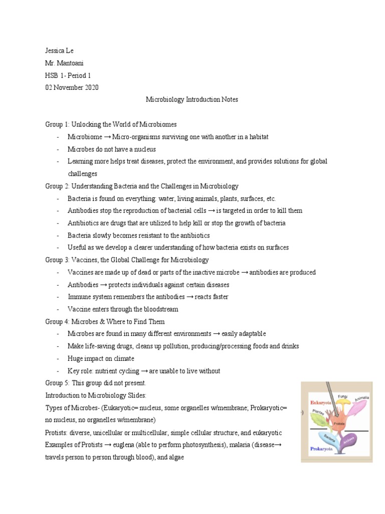 Jessica Le - Microbiology Jigsaw Notes | PDF | Microorganism | Bacteria