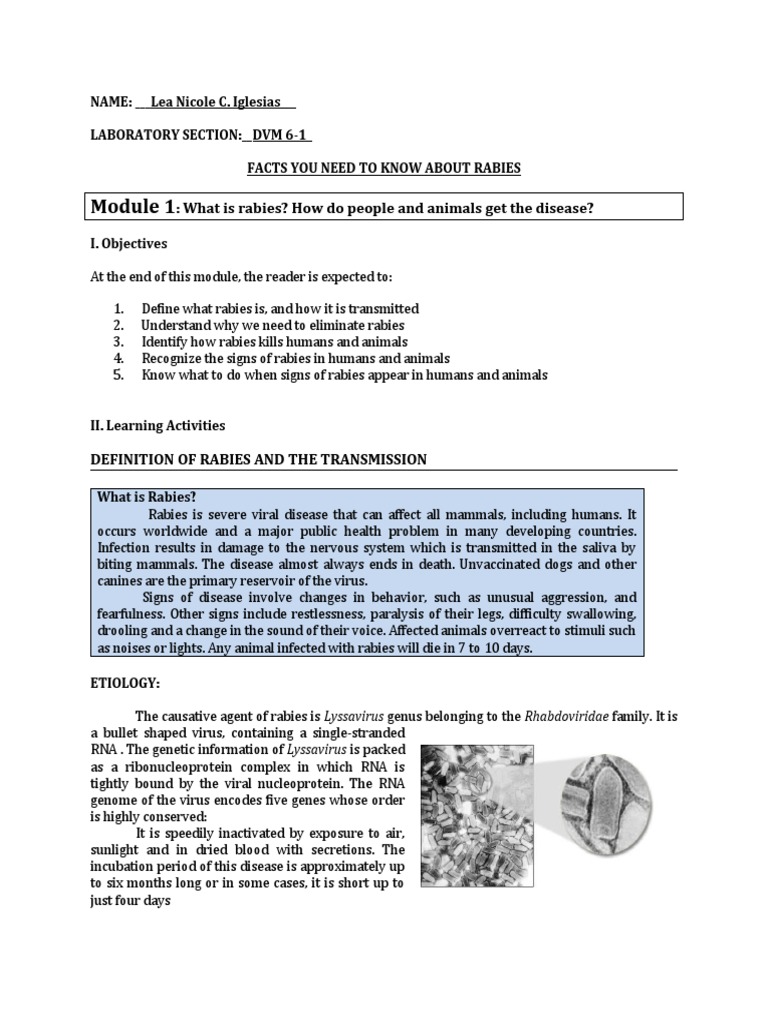 What Is Rabies? How Do People and Animals Get The Disease? | Download ...