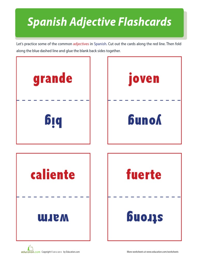 Spanish Adjective Flashcards: Grande Joven | PDF