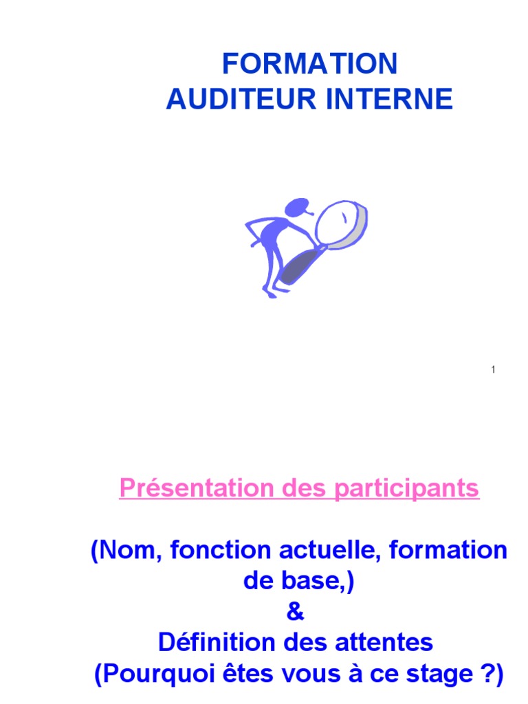 Formation Audit Interne | PDF | Système de management de la qualité | Audit