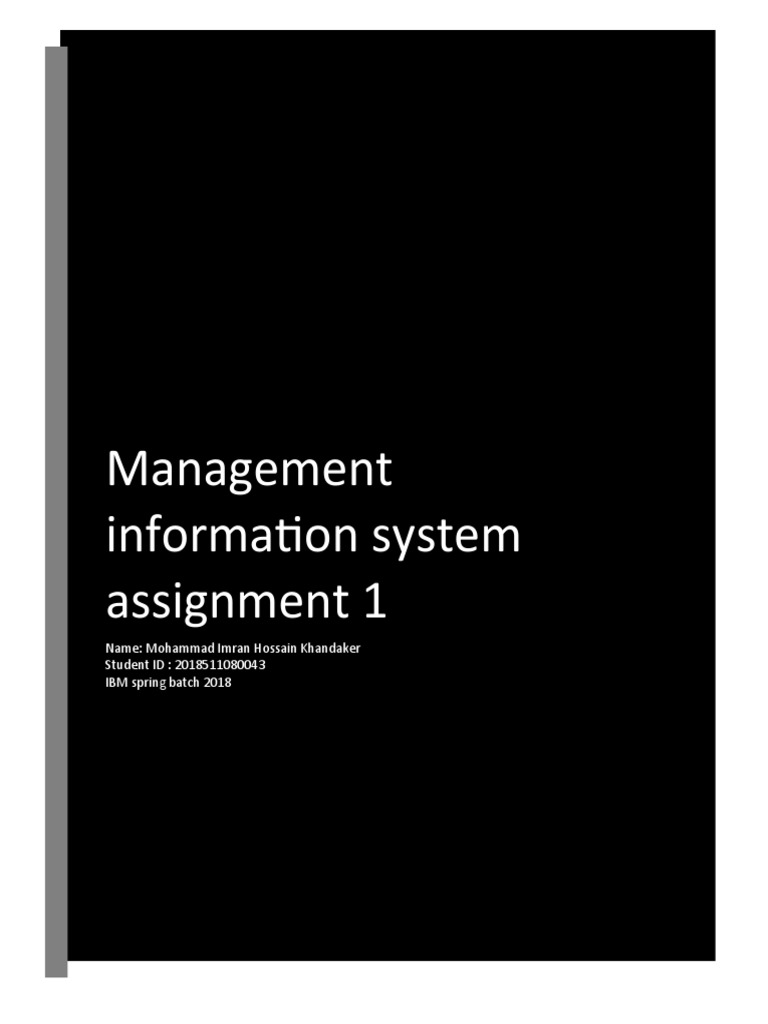 Management Information System | PDF | Supply Chain | Management ...