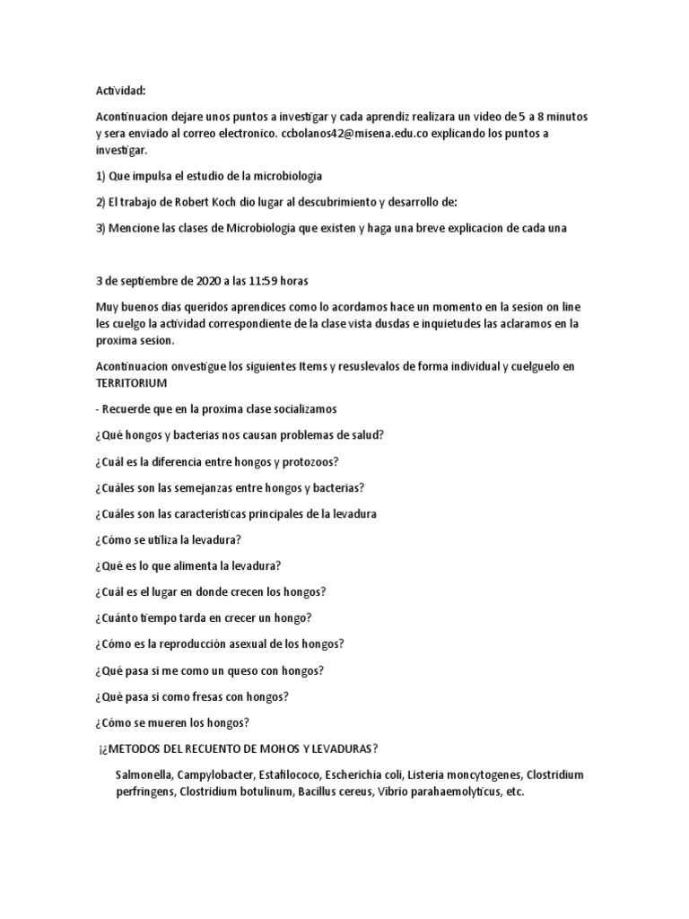 Actividad de Micro | PDF