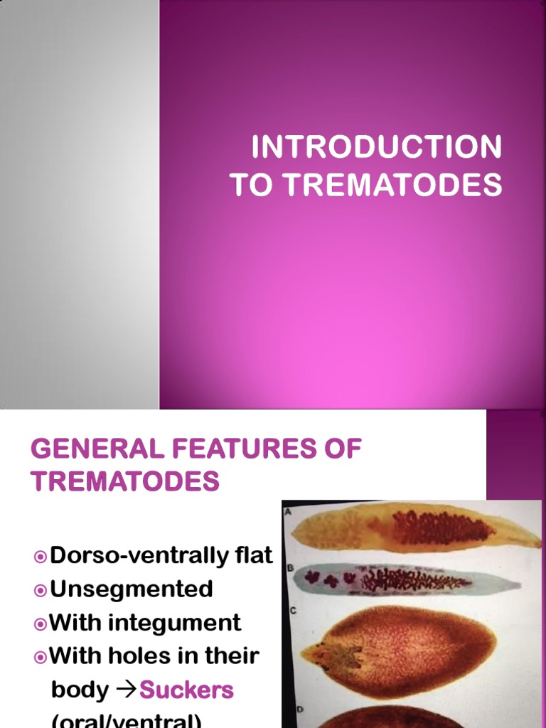 Introduction To Trematodes PDF | PDF | Liver | Clinical Medicine