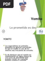 El Vómito y Su Clasificación | PDF | Vómitos | Estómago