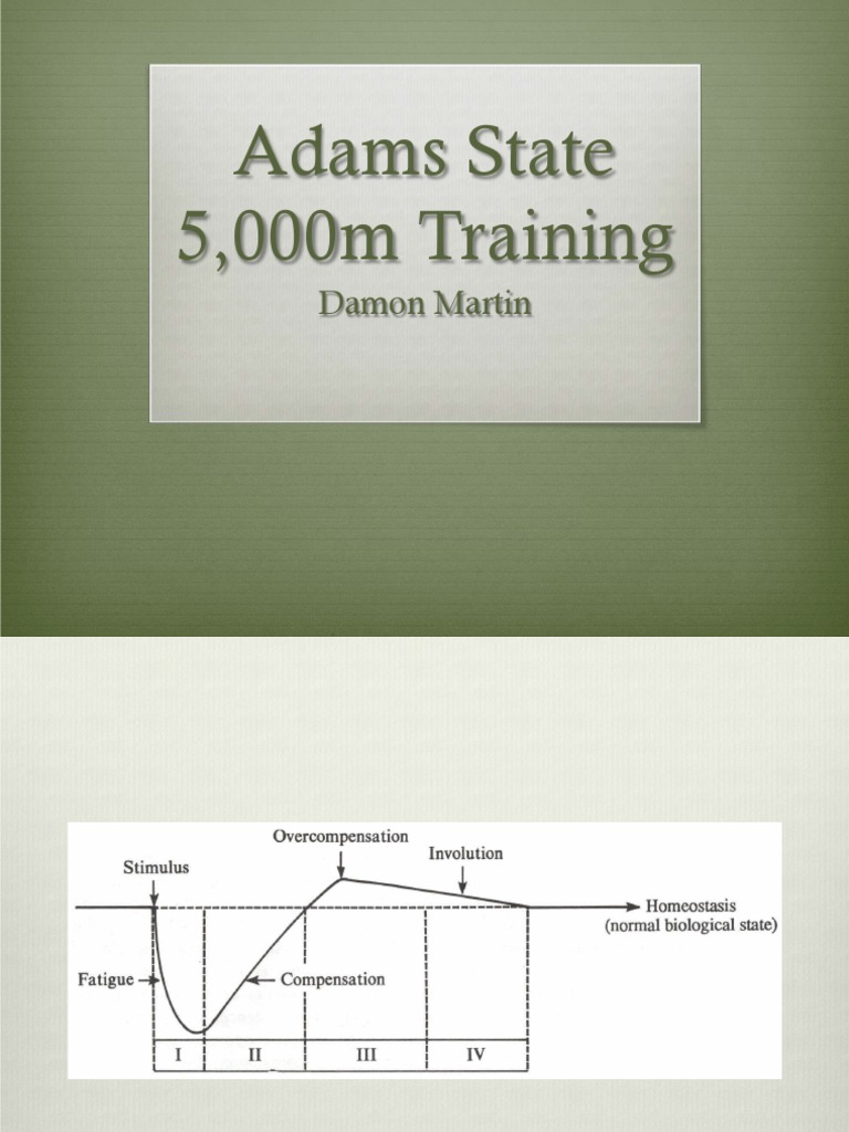 5,000m Training Strategies by Damon Martin | PDF | Auto Races | Auto Racing