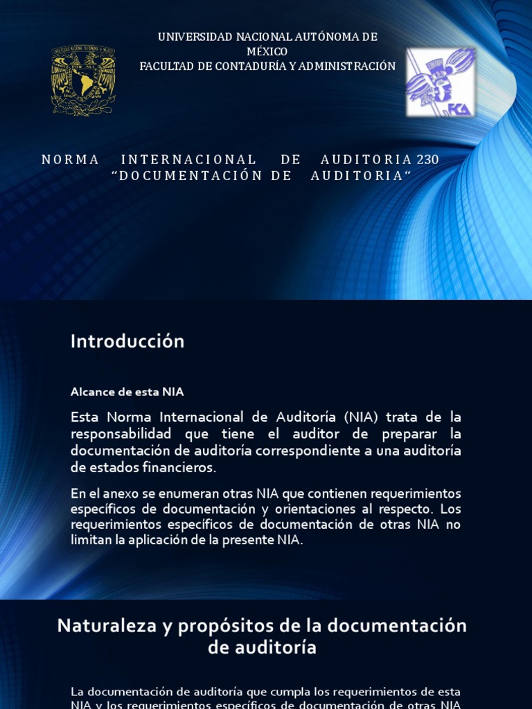 Nia 230 PDF | PDF | Auditoría | Contralor