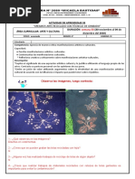 Taller de Introduccion A La Pintura y La Escultura | PDF | Escultura ...