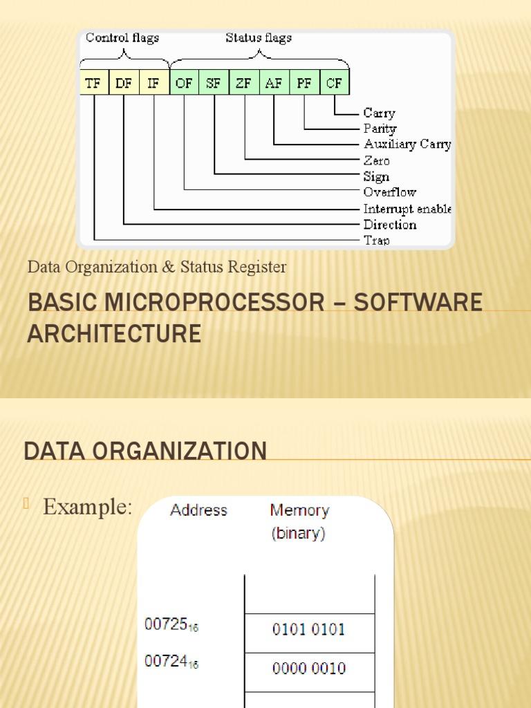 Basic Microprocessor - Software Architecture: Data Organization & Status Register | PDF