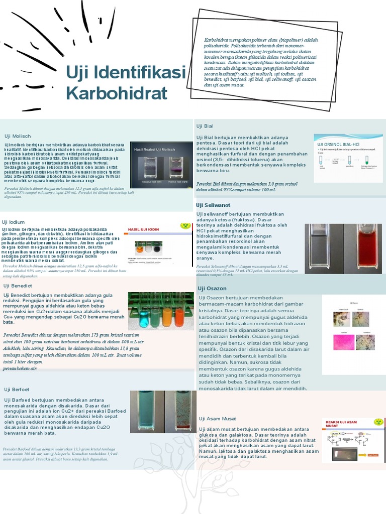 Playful Blobs Classroom Rules Poster-Dikonversi | PDF