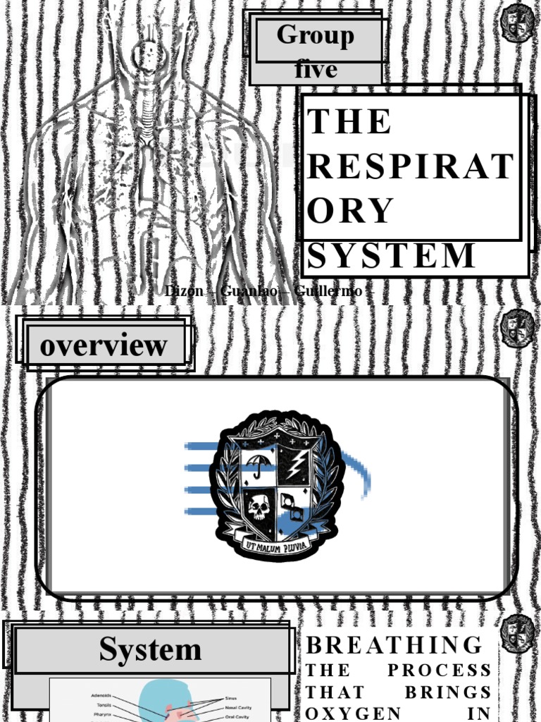 Respiratory System (PE I) | PDF | Breathing | Respiratory System