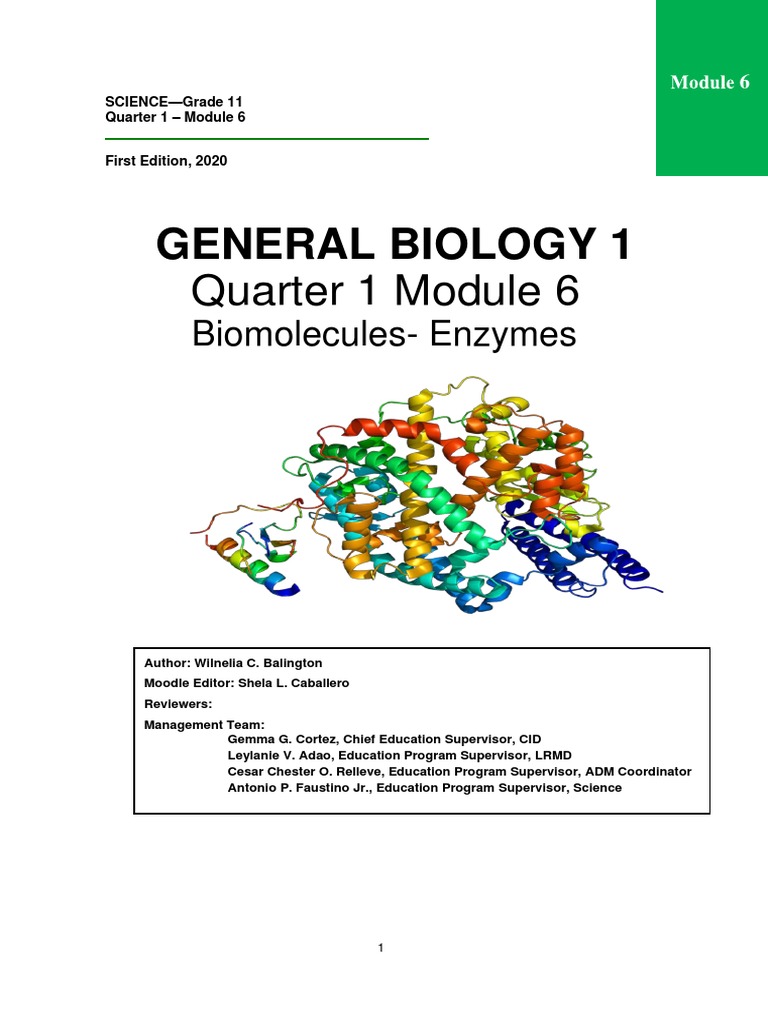 Enzymes: Biological Catalysts Explained | PDF | Active Site | Enzyme
