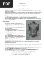 Anatomy and Physiology of the Umbilicus | PDF | Abdomen | Vein