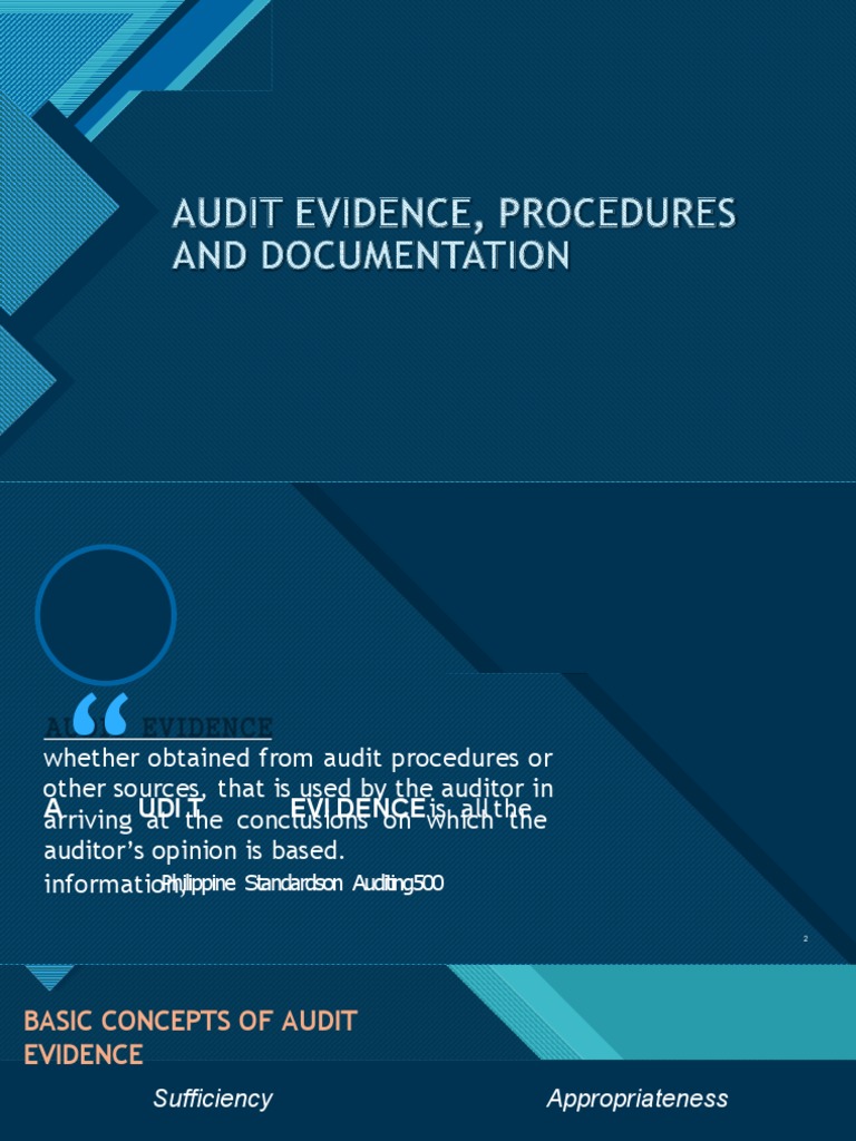 Audit Evidence Procedures and Documentation | PDF | Audit | Business