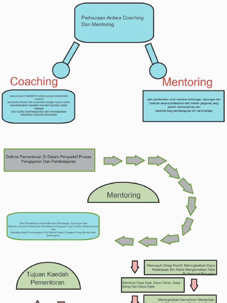 Assignment Coaching and Mentoring | PDF