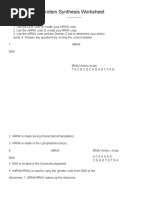 Protein Synthesis Worksheet Guide | PDF