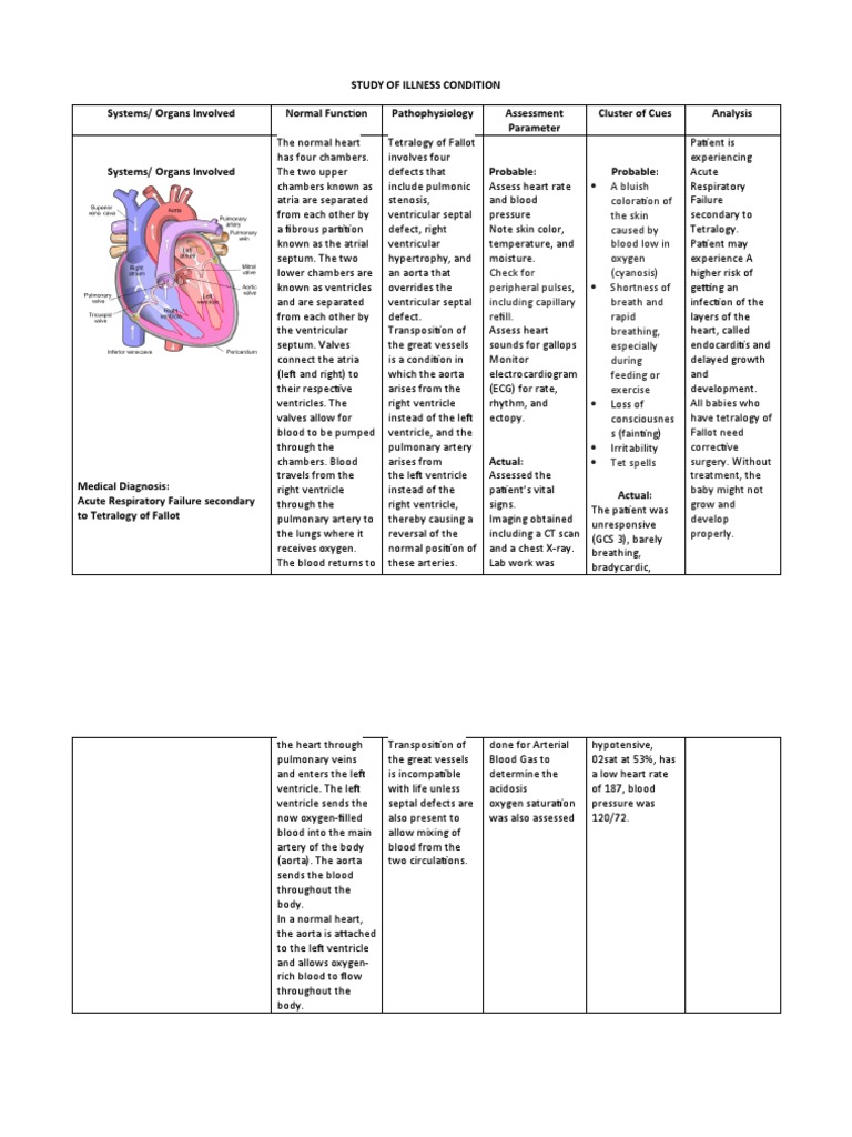 STUDY OF ILLNESS CONDITION Format | PDF | Heart | Ventricle (Heart)