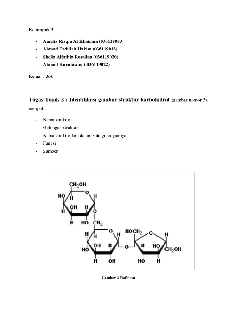 Struktur dan Fungsi Rafinosa Trisakarida | PDF