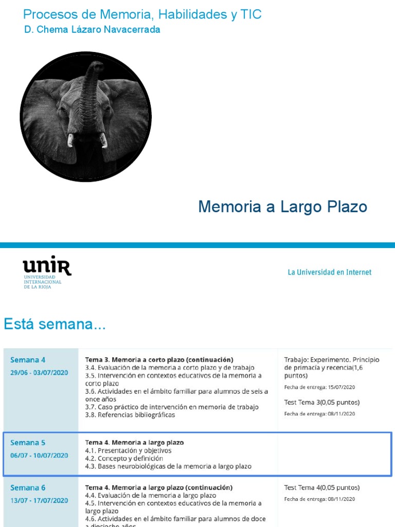 Tema 4 Memoria A Largo Plazo | PDF | Memoria | Memoria a largo plazo