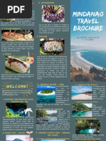 Filipino Brochure | PDF