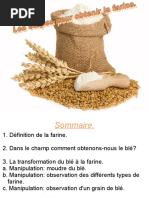 Composition chimique du grain de blé | PDF | Céréale | Blé