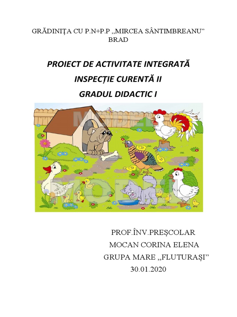 Proiect Didactic Grad I | PDF