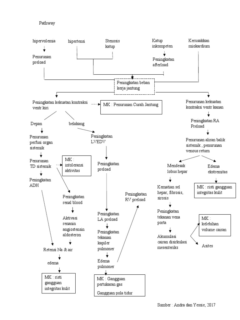 Kegagalan Jantung Karena Hipervolemia | PDF