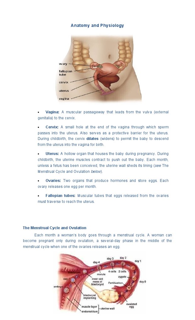 Anatomy and Physiology of Female Reproductive System | PDF | Uterus ...