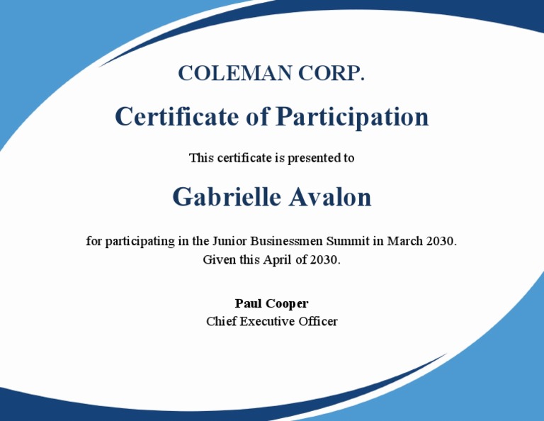 Free Program Participation Certificate Template | PDF