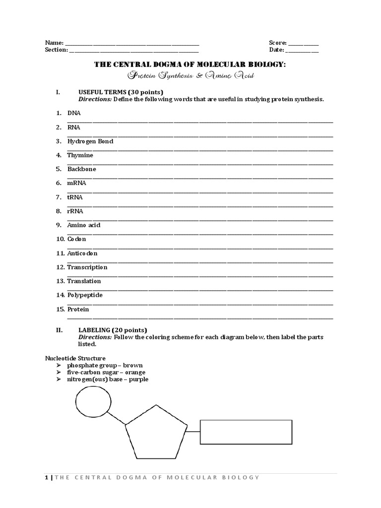 Understanding the Central Dogma of Molecular Biology: A Comprehensive ...