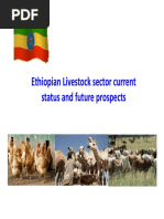 SASSO Management Guide Rural Poultry 2022 EN | PDF | Poultry Farming ...