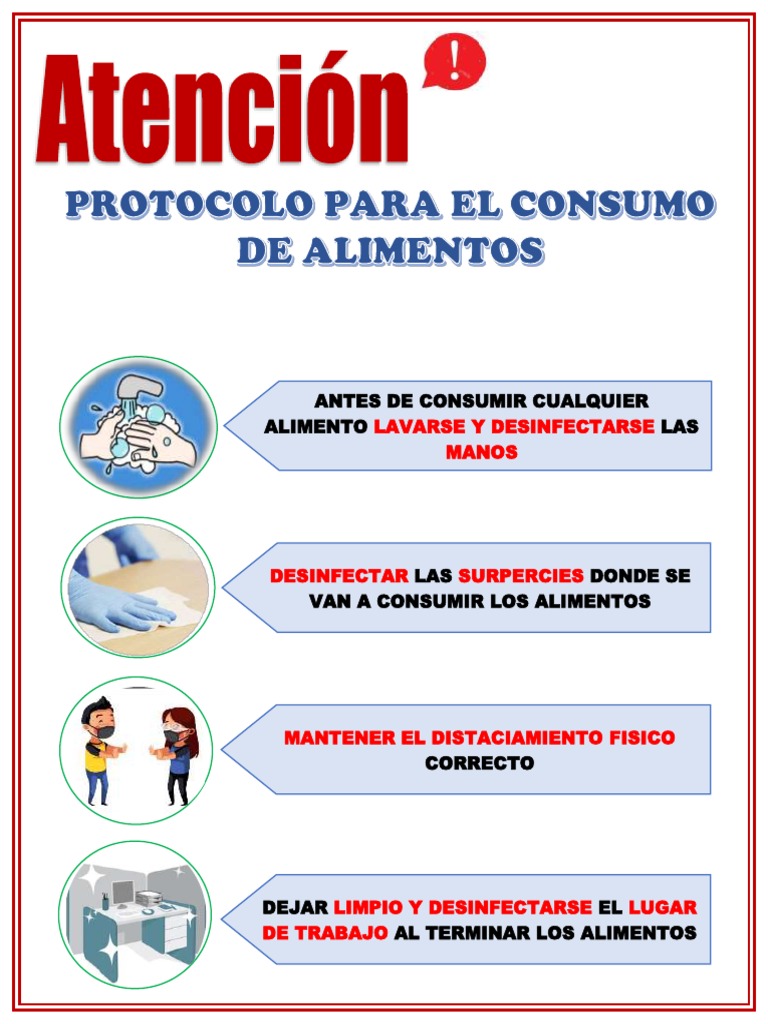 Protocolo Alimentos PDF | PDF