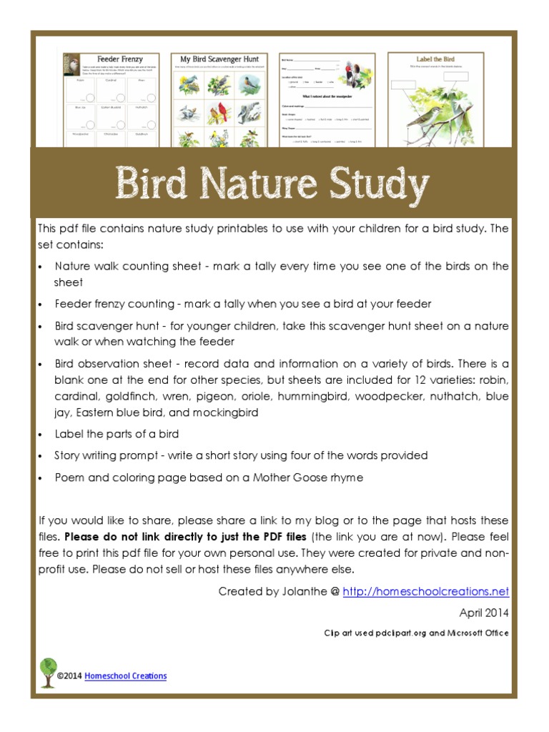 Bird Nature Study Printables | PDF | Beak | Birds