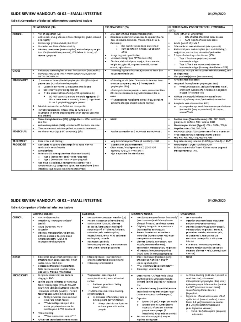 Small Intestine 01 PDF | PDF | Animal Anatomy | Medical Specialties