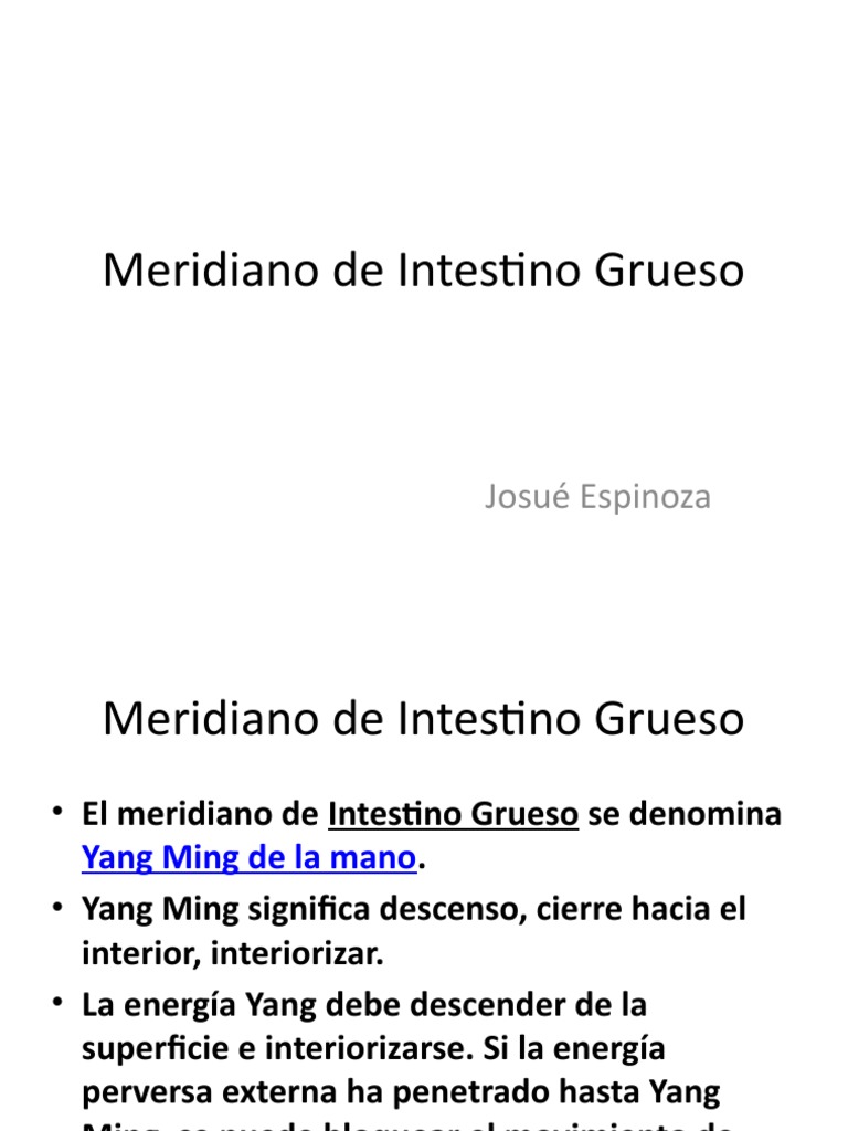 Meridiano de Intestino Grueso en Acupuntura | PDF | Hombro | Anatomia ...