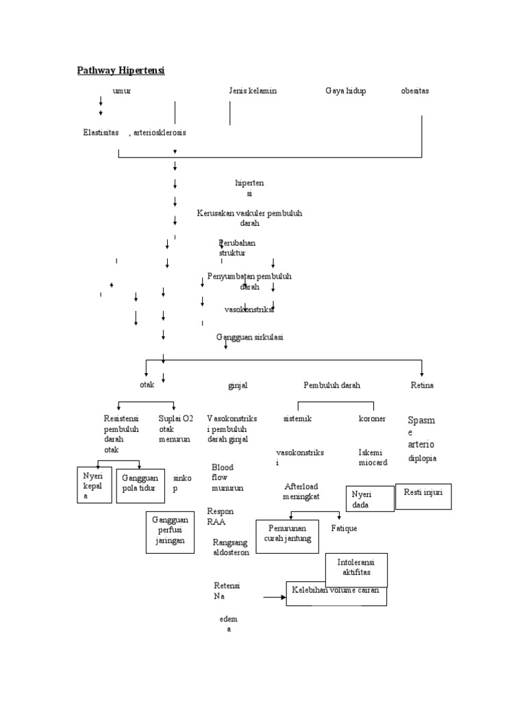 Pathway Hipertensi | PDF